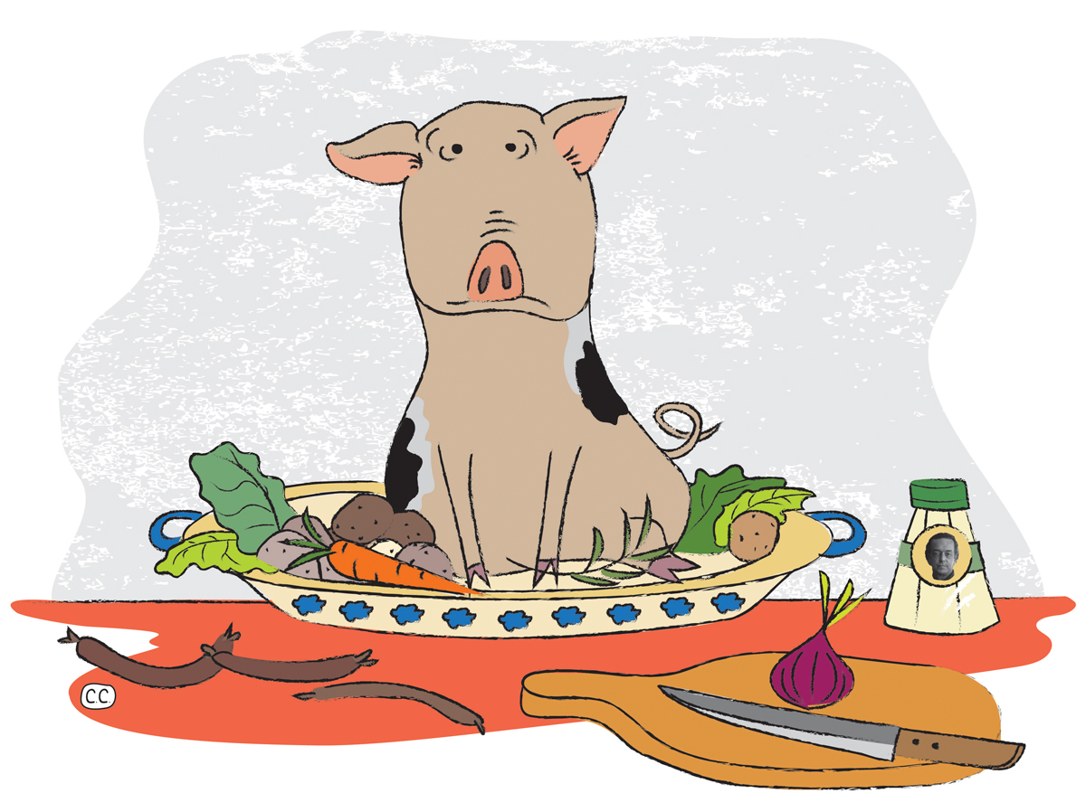 Mejores Fábulas Venezolanas - PoemasPoesia.com